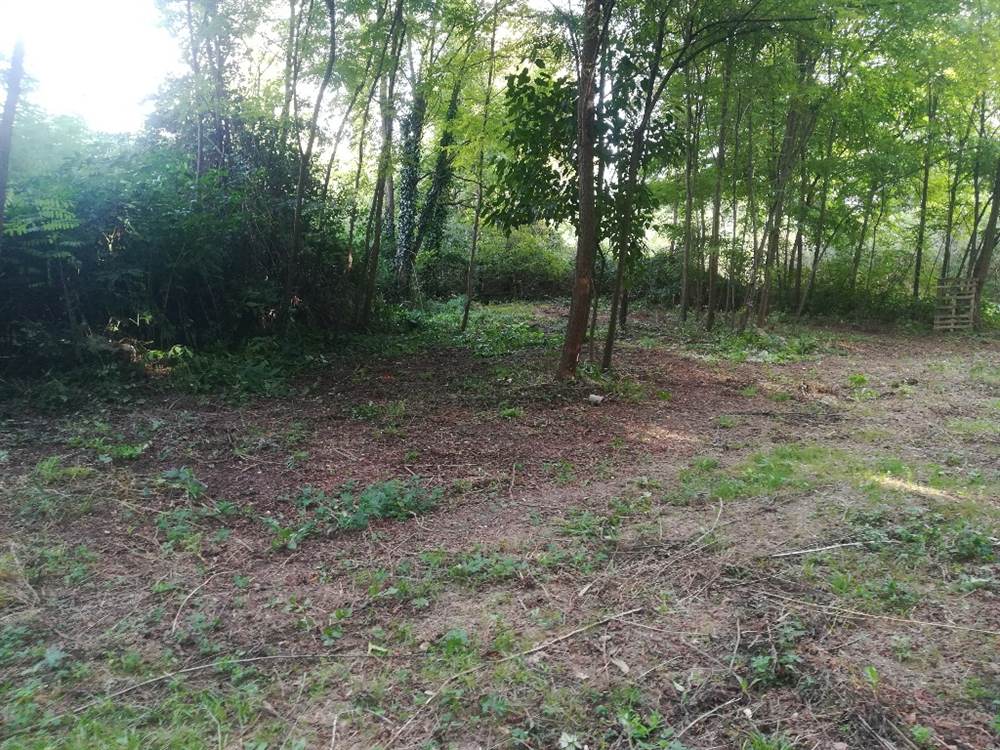 Associazione parco della fornace - Animazione e Organizzazione eventi a ...
